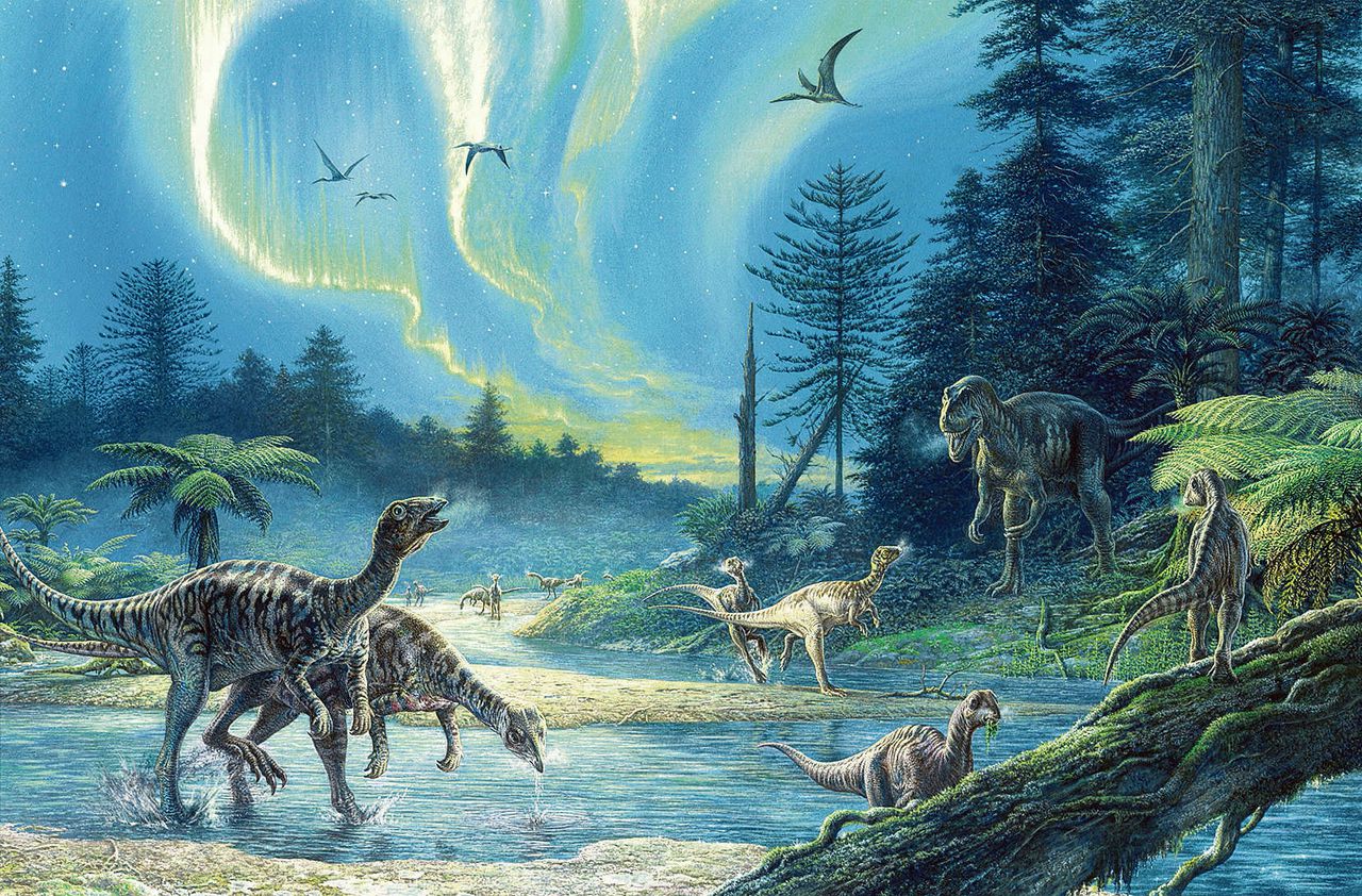 Op naar de tropische zuidpool - NRC