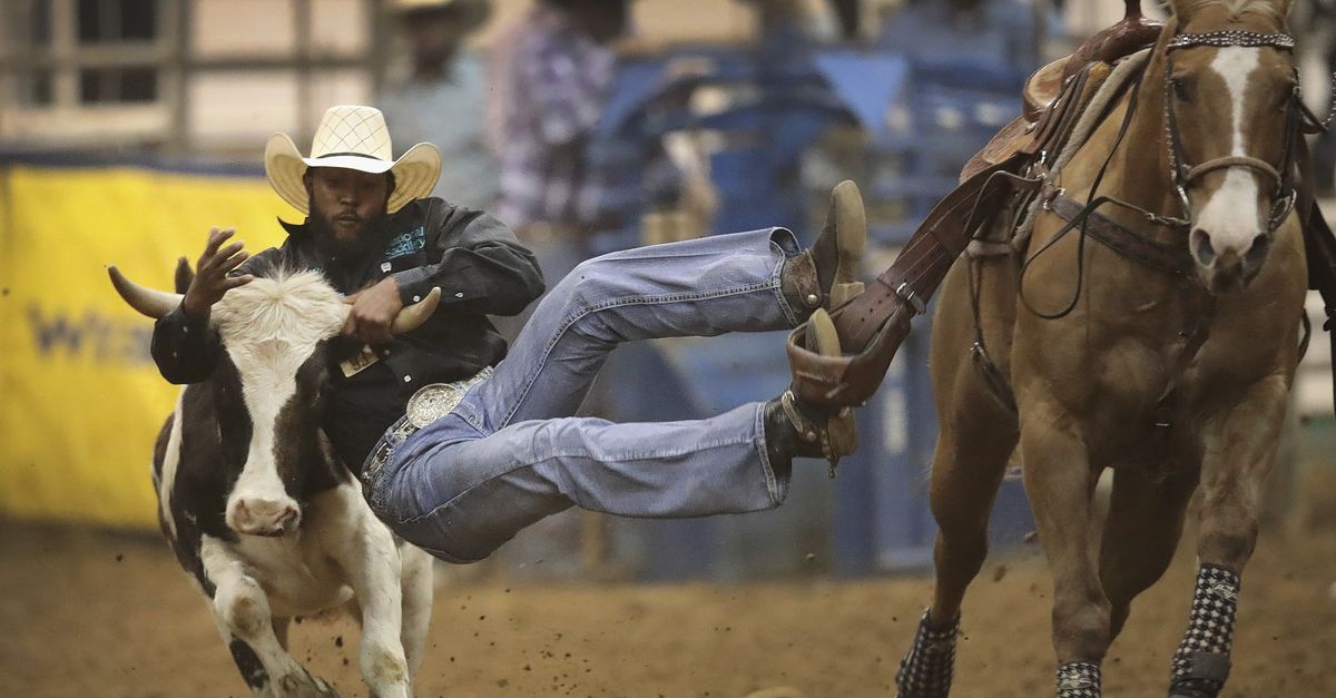 Black Rodeo is een uniek rodeospektakel - NRC