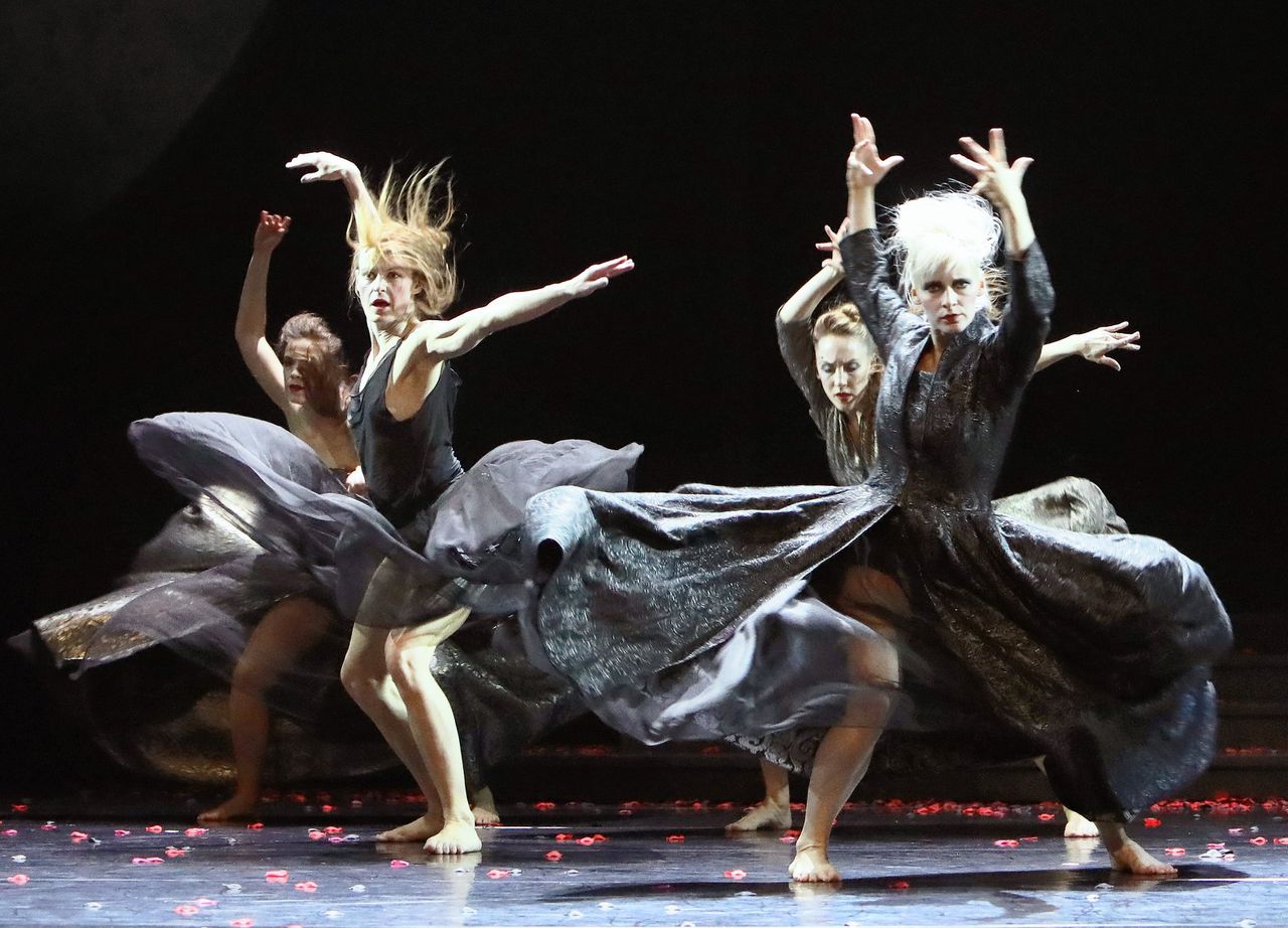 Nieuw werk Ed Wubbe hooguit in massaliteit effectief - NRC