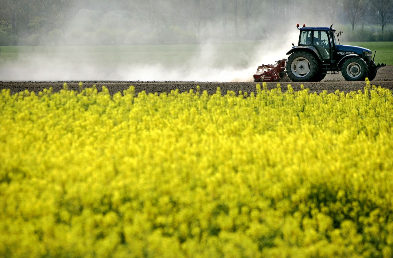 Europa zet rem op biobrandstof - ‘belandt te veel voedsel in de tank’ - NRC