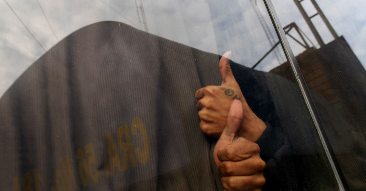 Een olijftak of een rookgordijn - NRC