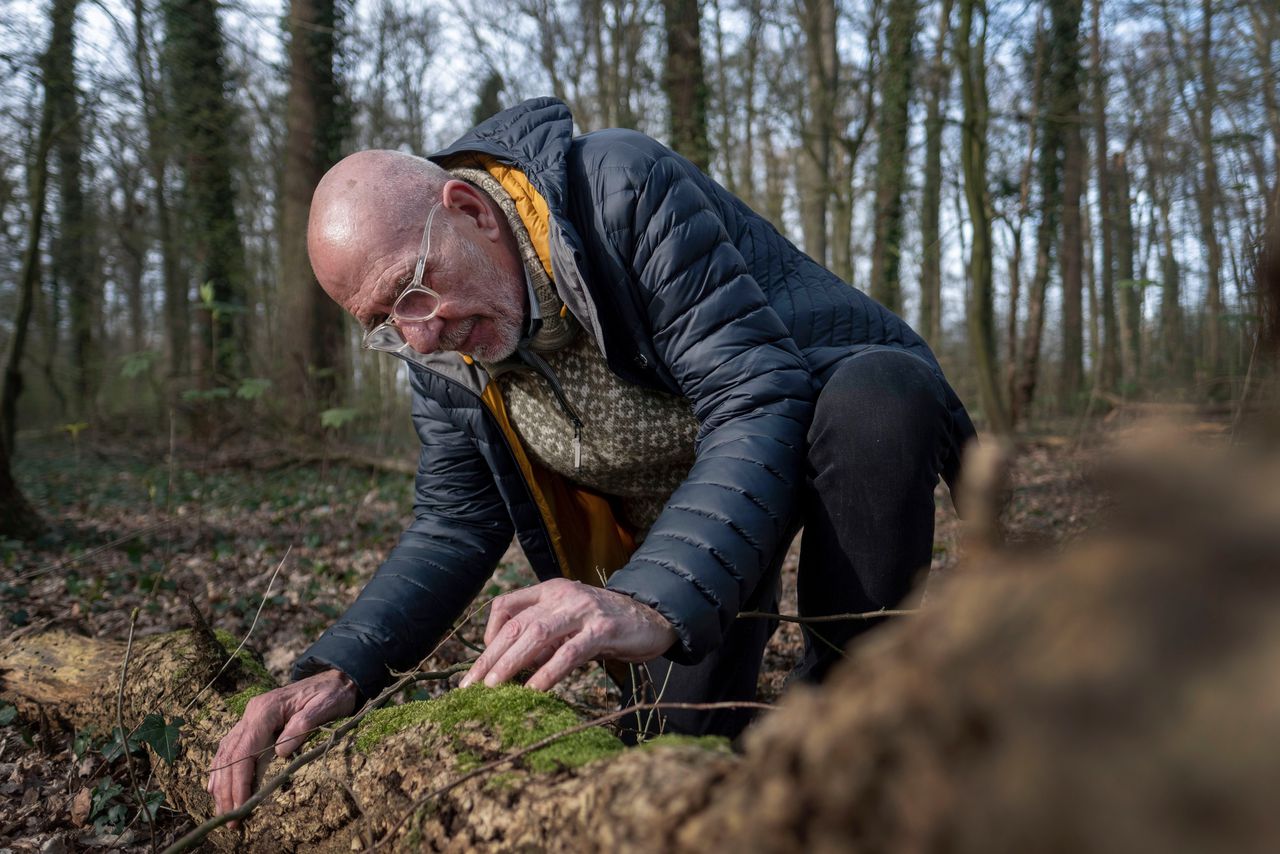 Filosoof en ecoloog Matthijs Schouten: ‘Tóch ben ik hoopvoller over de ...