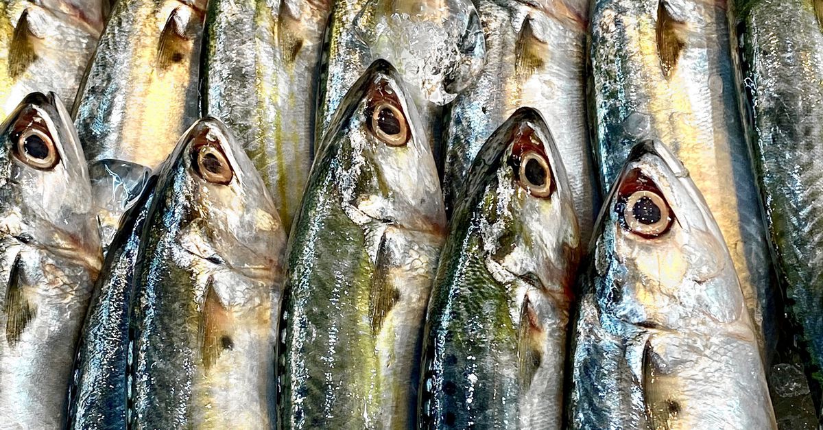 Kwik in een Canadees meer lozen, in naam van de wetenschap - NRC