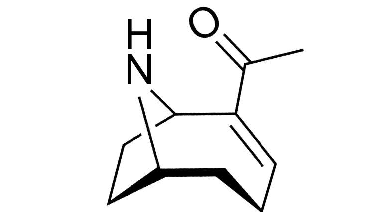 #Vrijdagmiddagvraag: een sneldodend molecuul - NRC