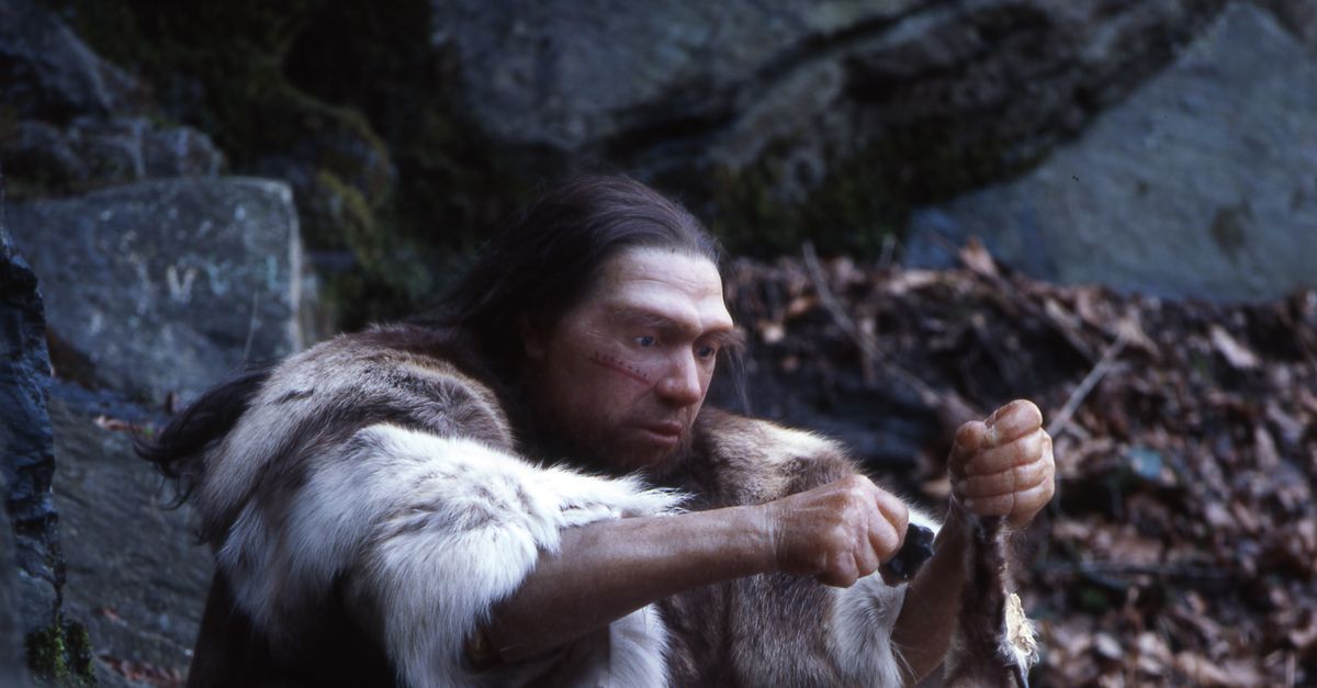 Alle oermensen zijn één - NRC