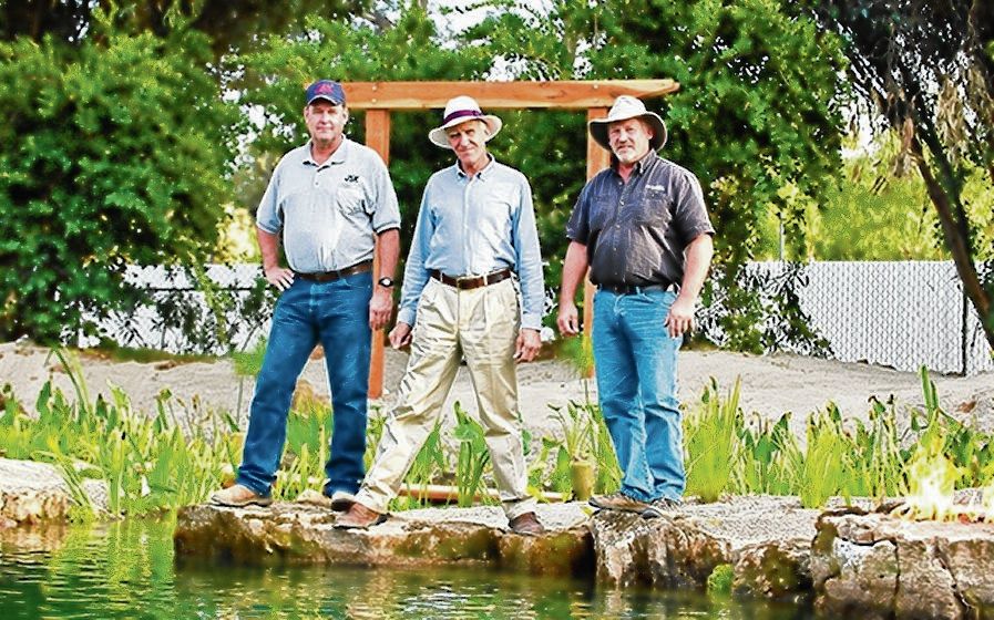 The Pool Master - NRC