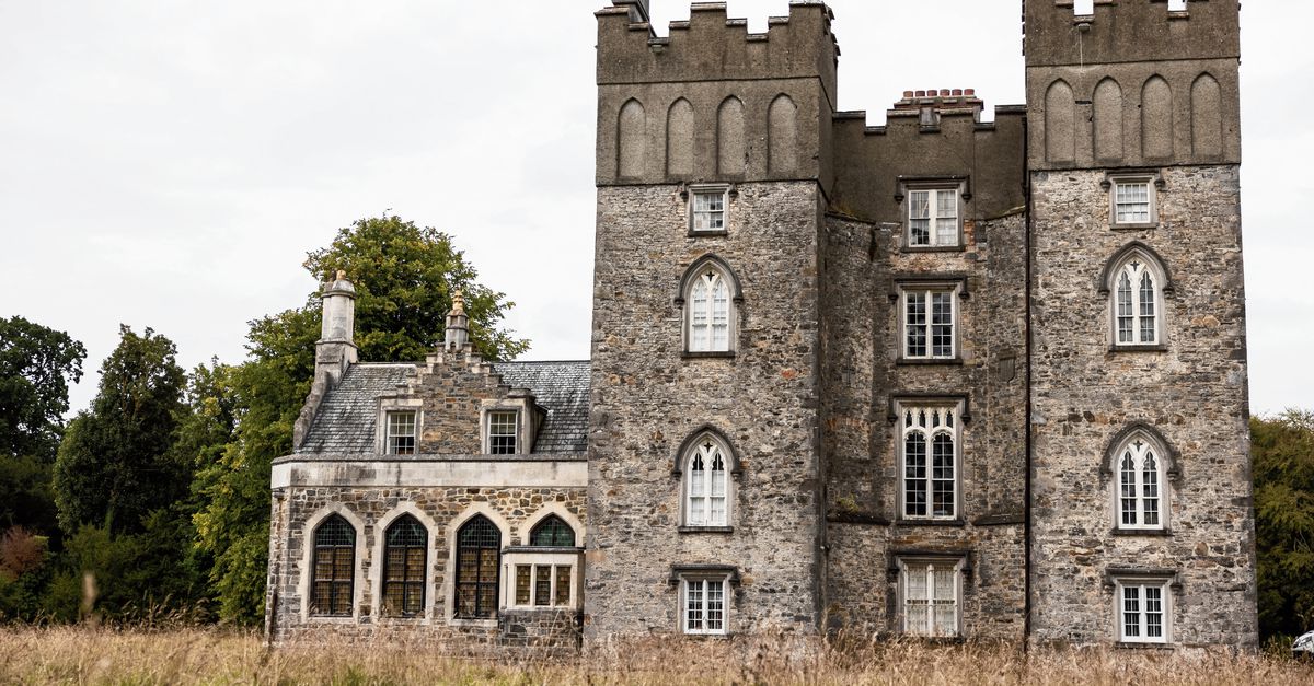 Op dit Ierse landgoed heeft de natuur vrij spel - NRC