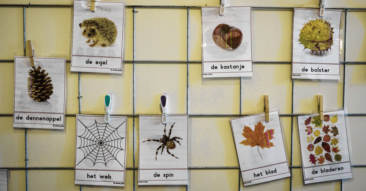 Tweejarigen met een taalachterstand moeten verplicht naar de voorschool ...