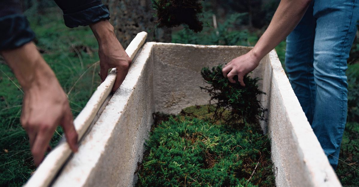 De opkomst van een levende doodskist - NRC