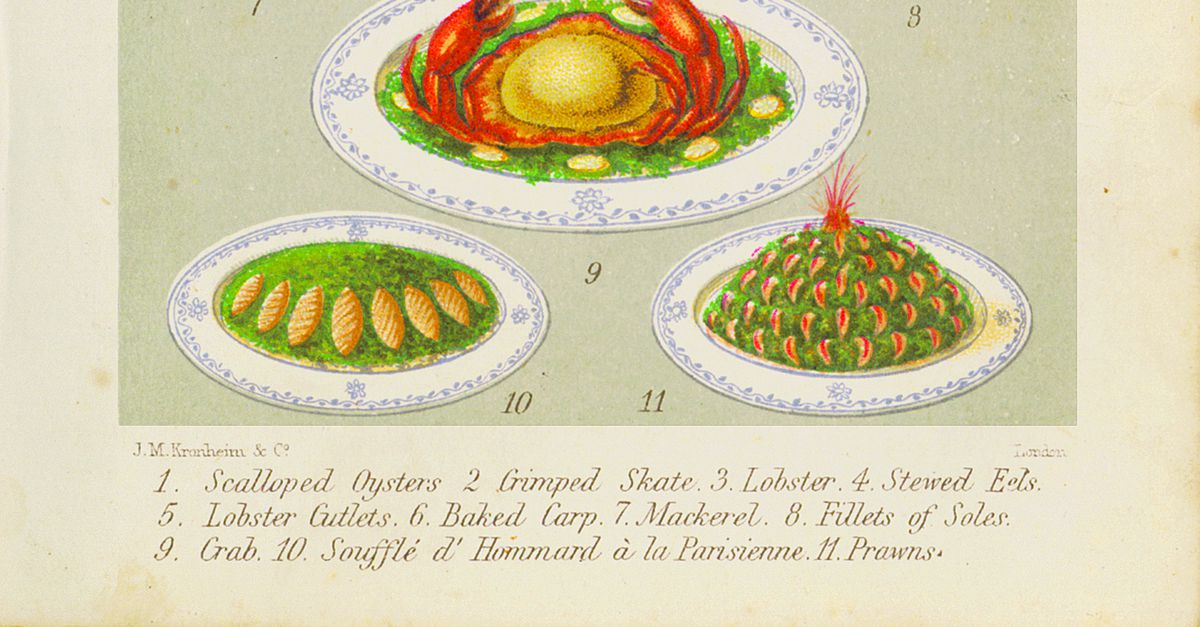 Recept voor haai en rog - NRC