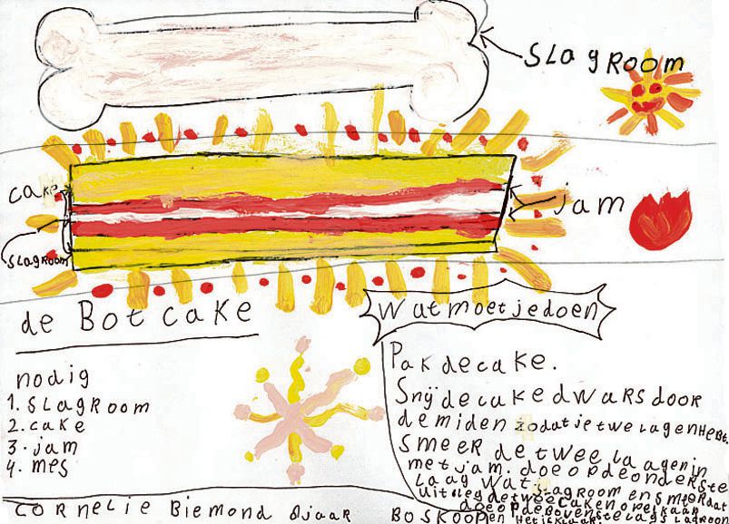 Botcake - NRC