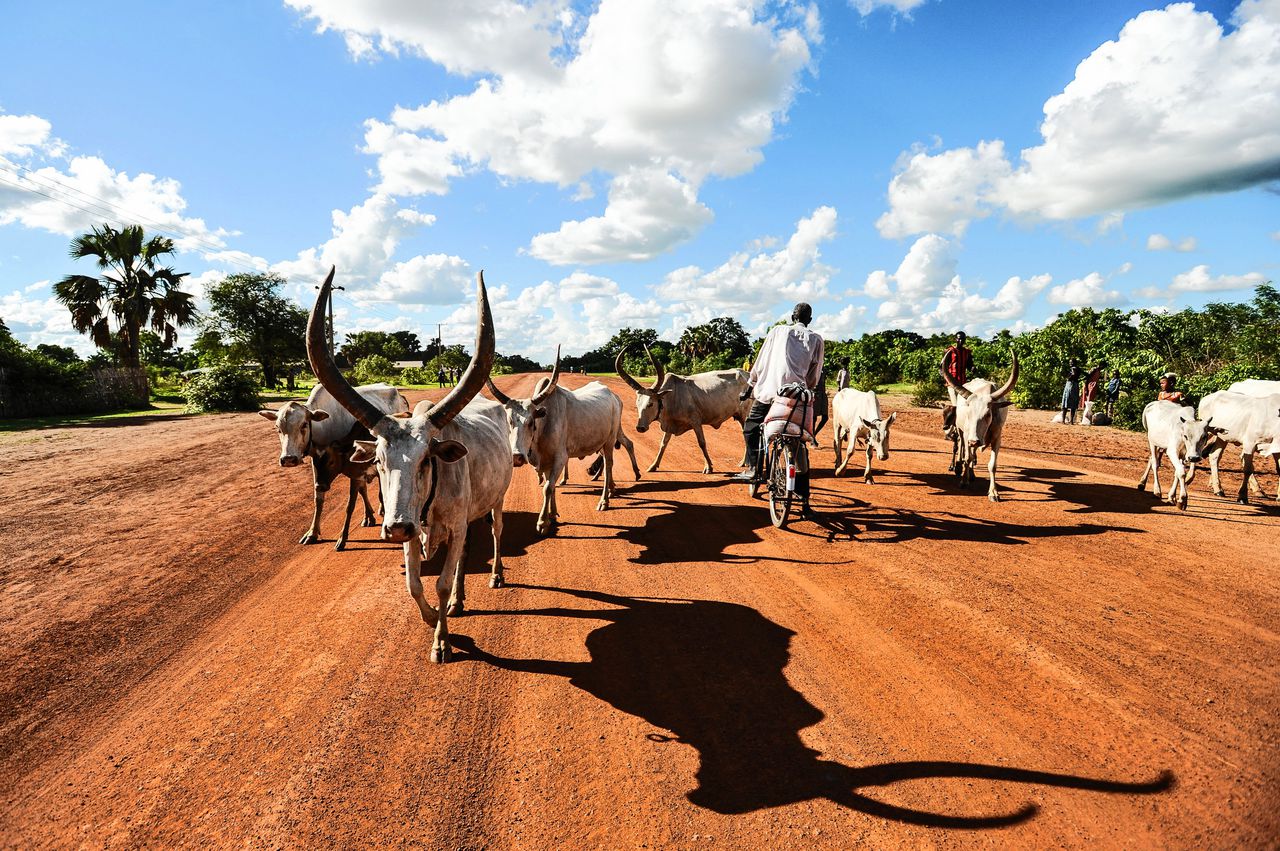 Opnieuw tientallen doden bij stammenstrijd Zuid-Soedan - NRC