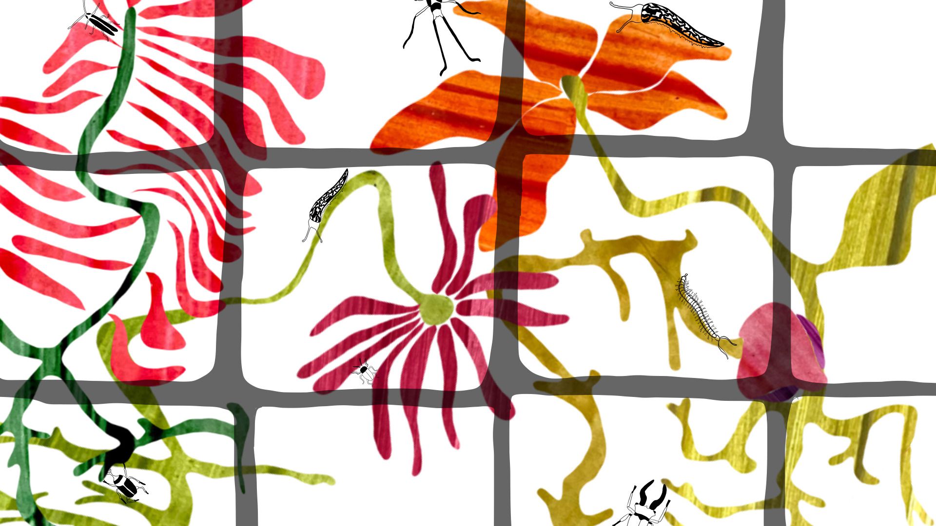 Zo red je een tuin bij hitte en hoosbuien in de zomer - NRC