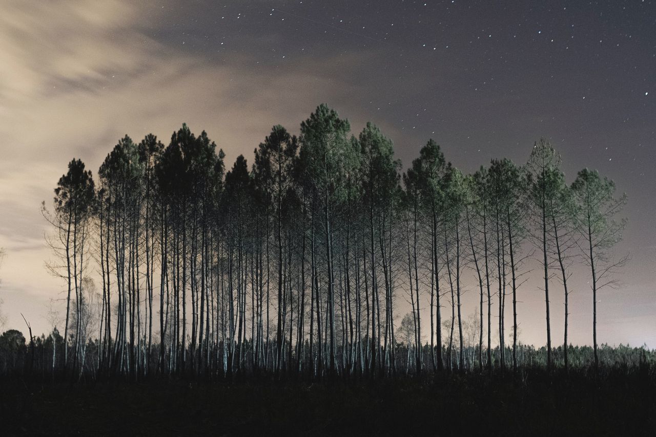 Het klimaat staat centraal op Zuid-Frans fotofestival: ‘We konden de urgentie niet negeren’ - NRC
