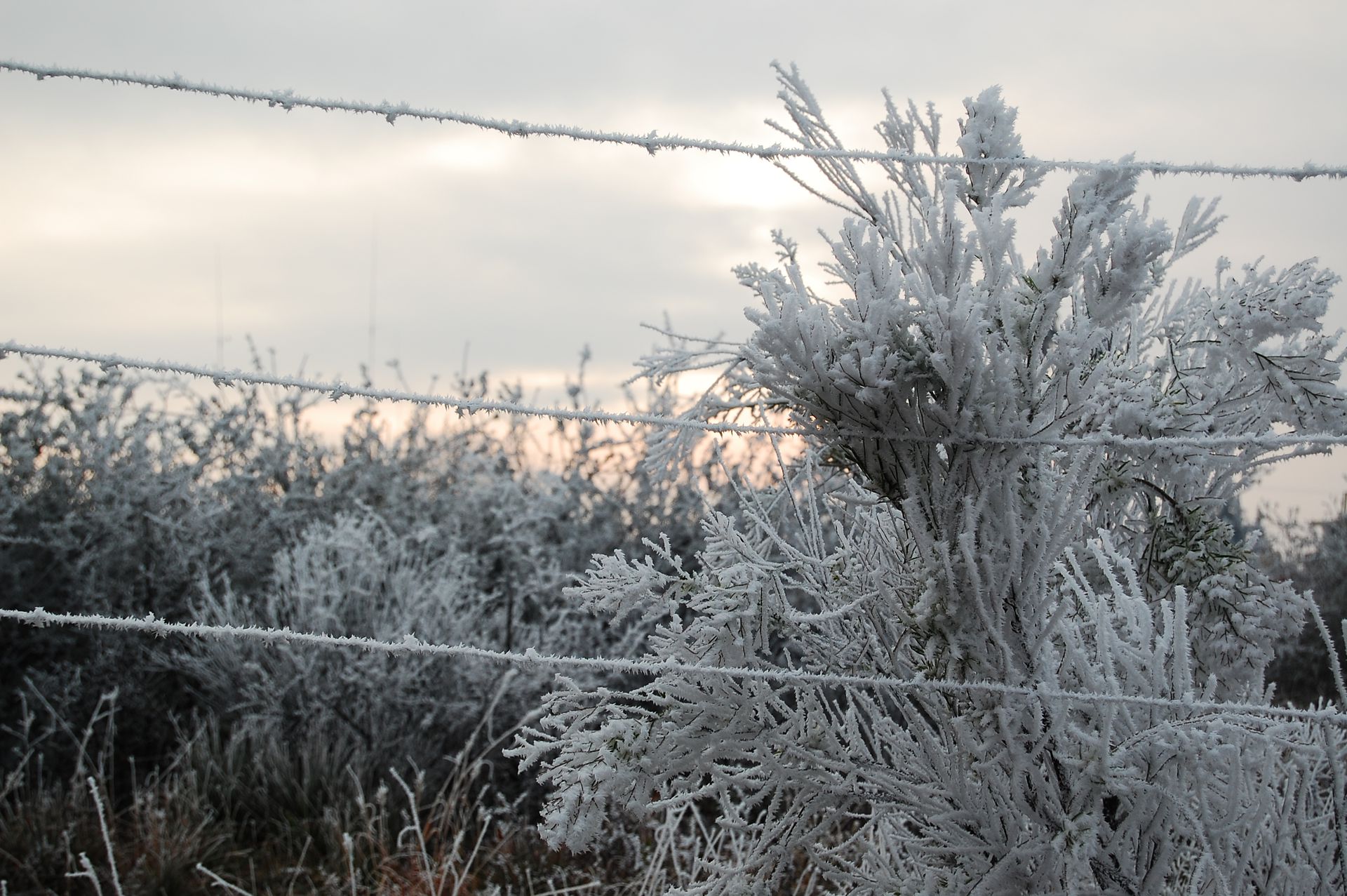 ‘Het wordt een erg koude winter’ - NRC