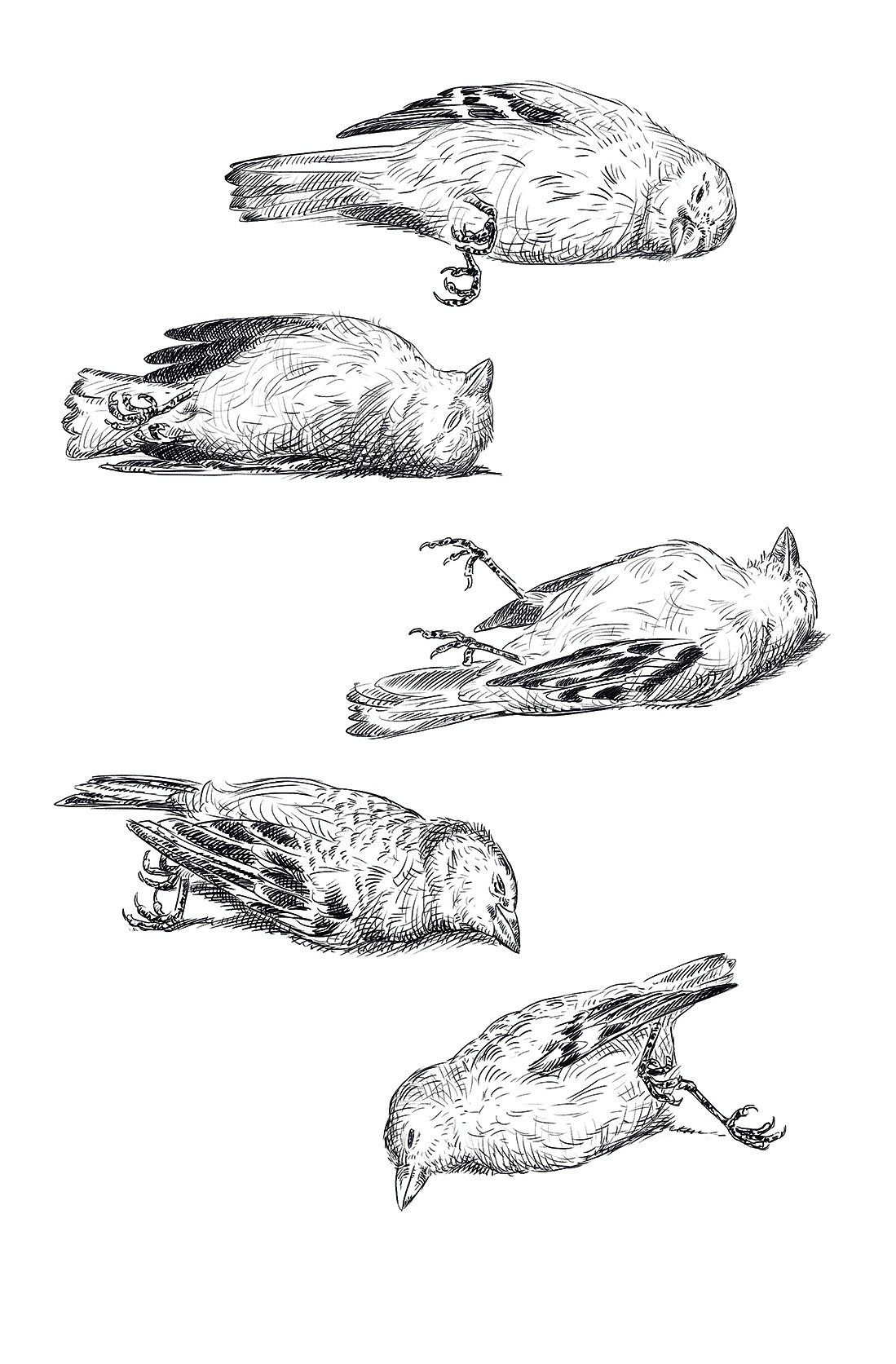 Joshua’s volstrekt authentieke stem maakt de young-adulttrilogie van ...