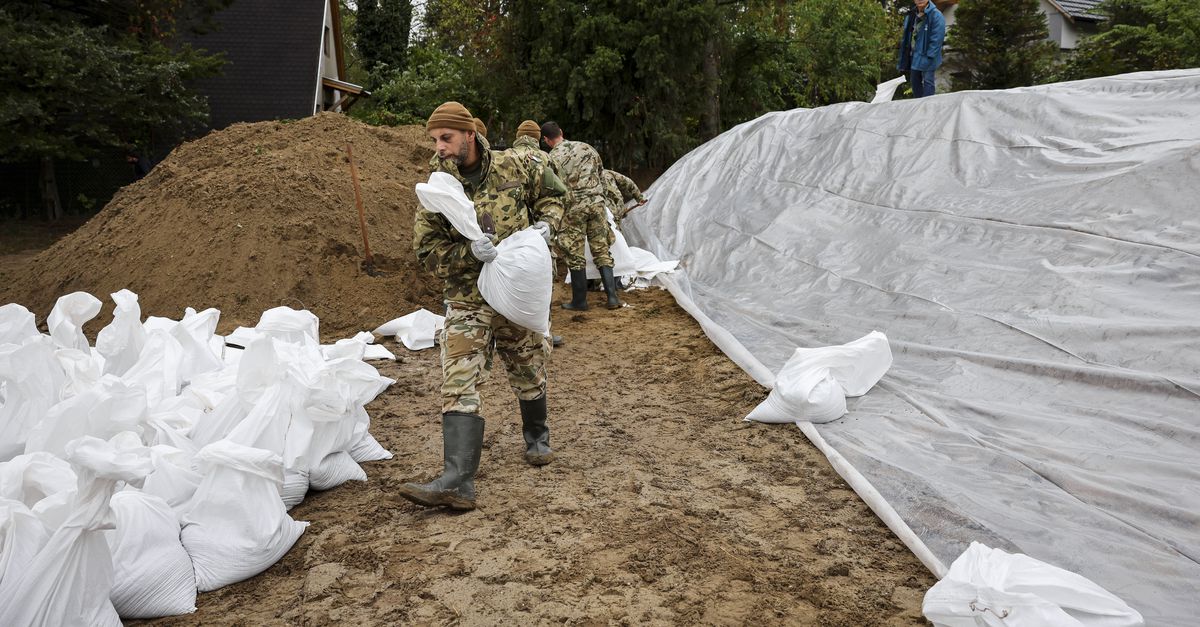 ‘Je kunt nu niet overal dijken aanleggen. Bovendien is dat hartstikke ...