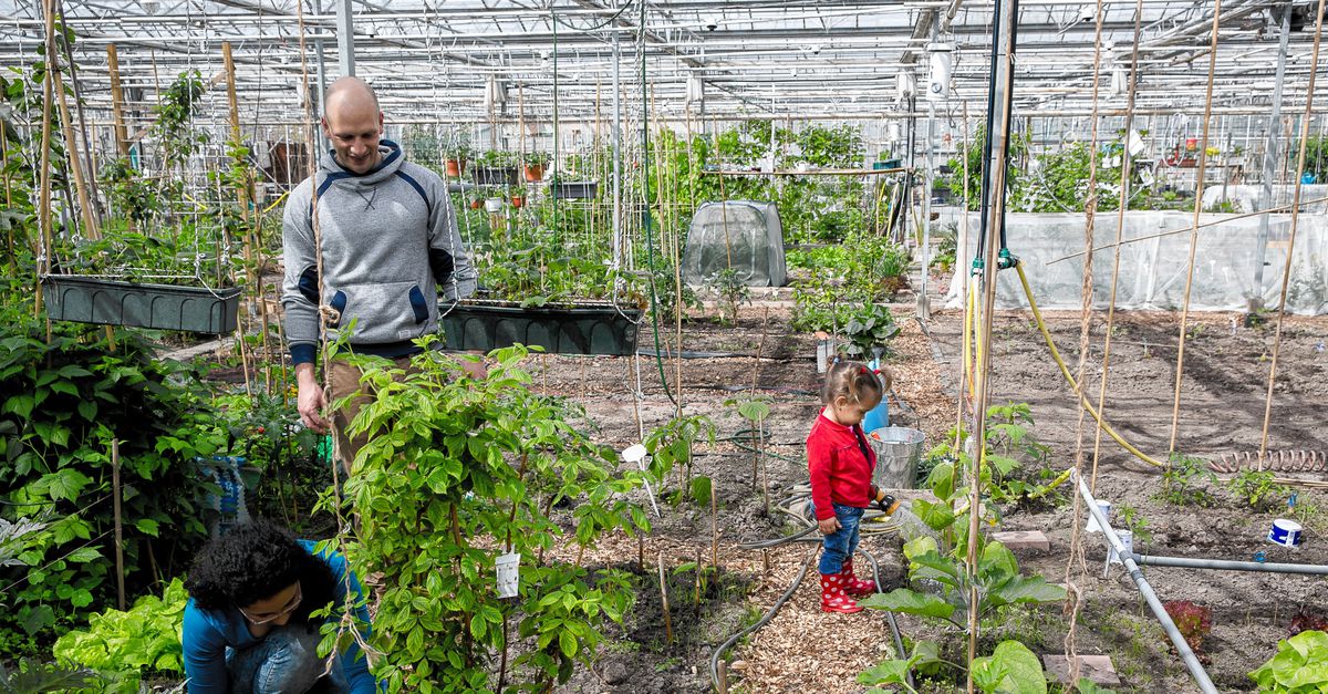 De overdekte moestuin, een nieuwe hype? - NRC