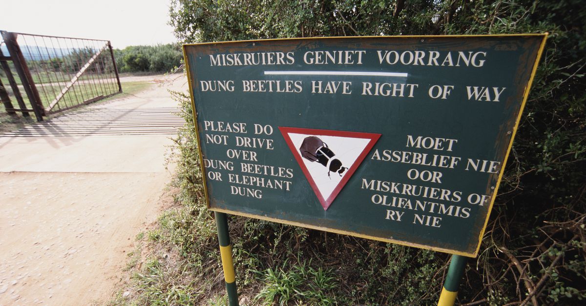 In 'n moltrein met 'n skootrekenaar - NRC
