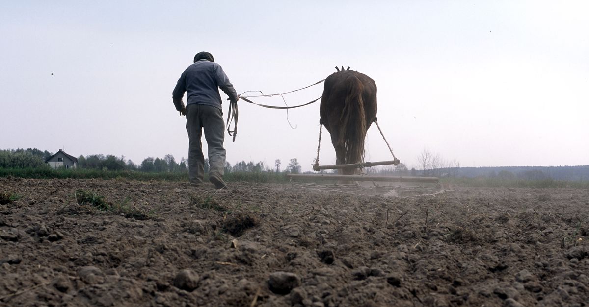 De bouwtekening van een boer - NRC