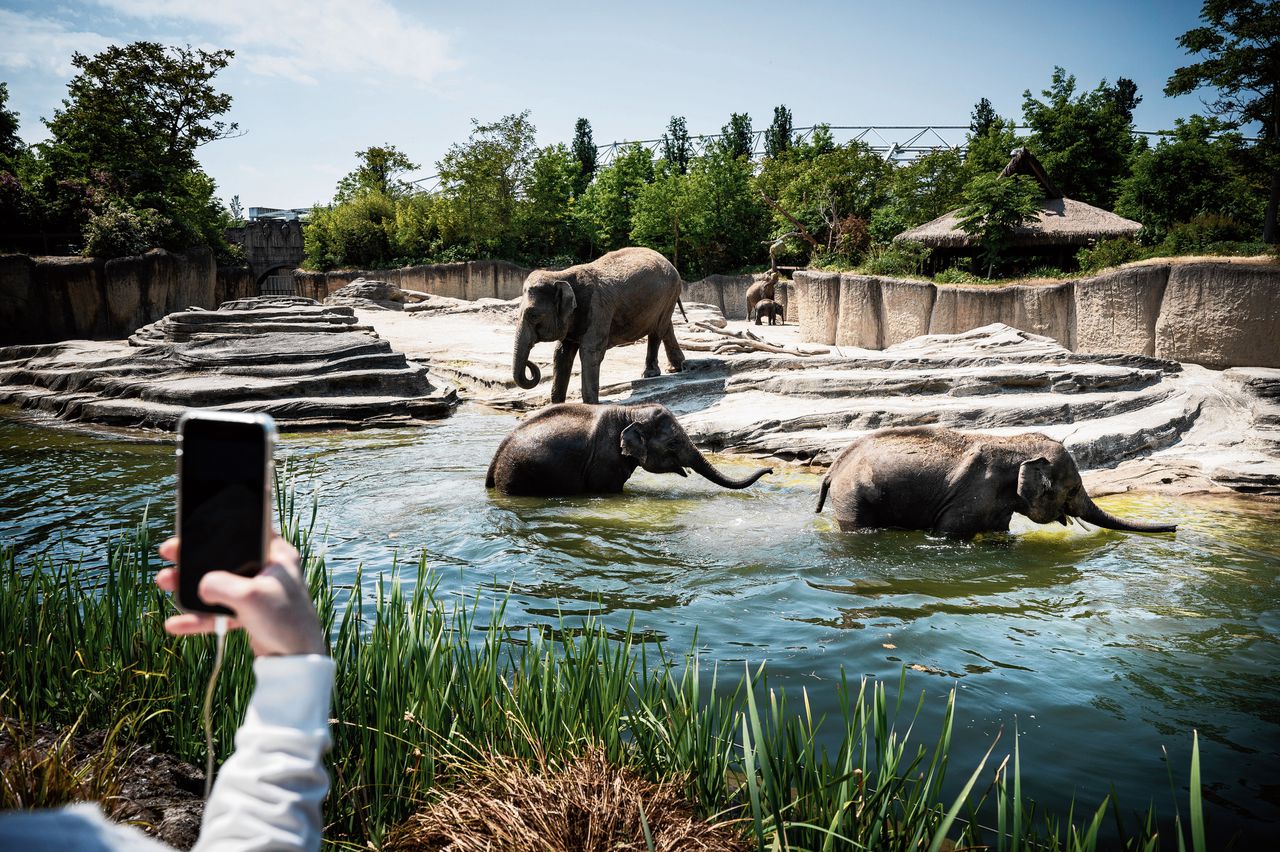 Emmenaren zijn weer trots op belevenispark Wildlands Emmen - NRC
