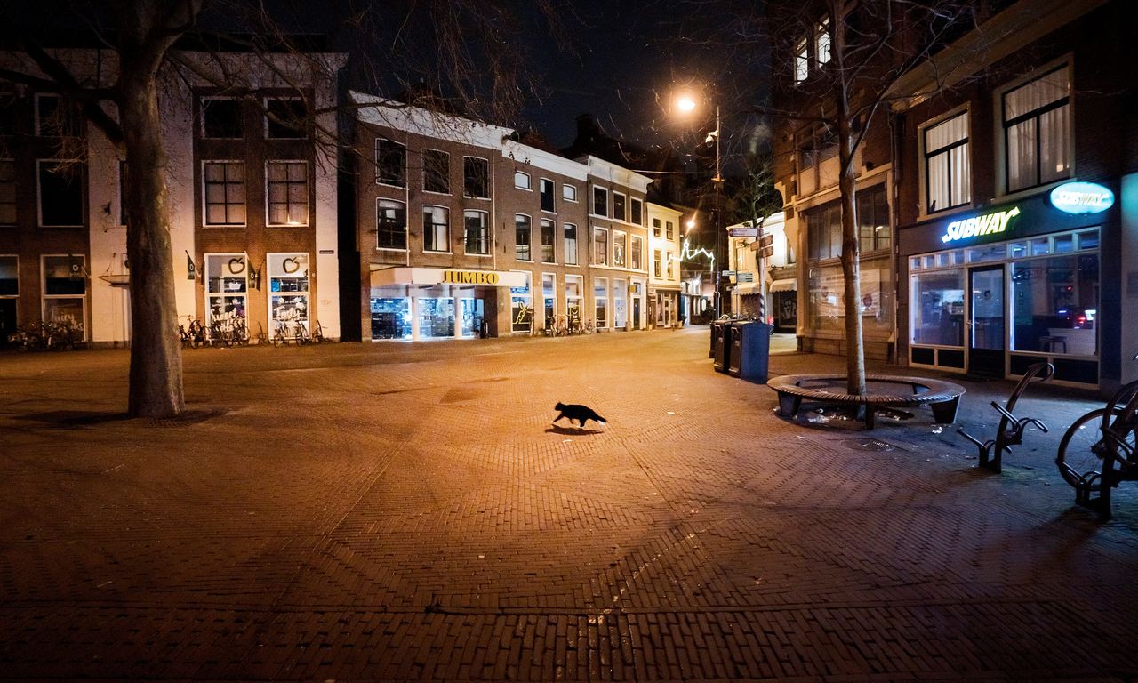 Denise de Ridder - NRC