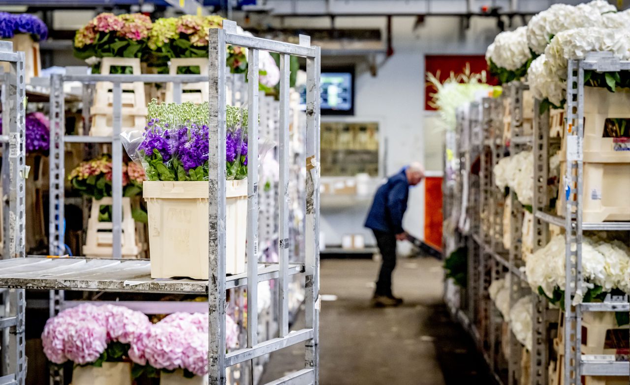 Nederlandse economie kromp licht in eerste kwartaal van dit jaar - NRC