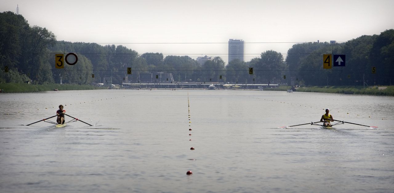 Een fascinatie voor slanke rietjes, golven en de wind - NRC