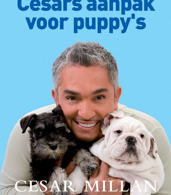 Cesar Millan met Cesars aanpak voor puppy's - NRC