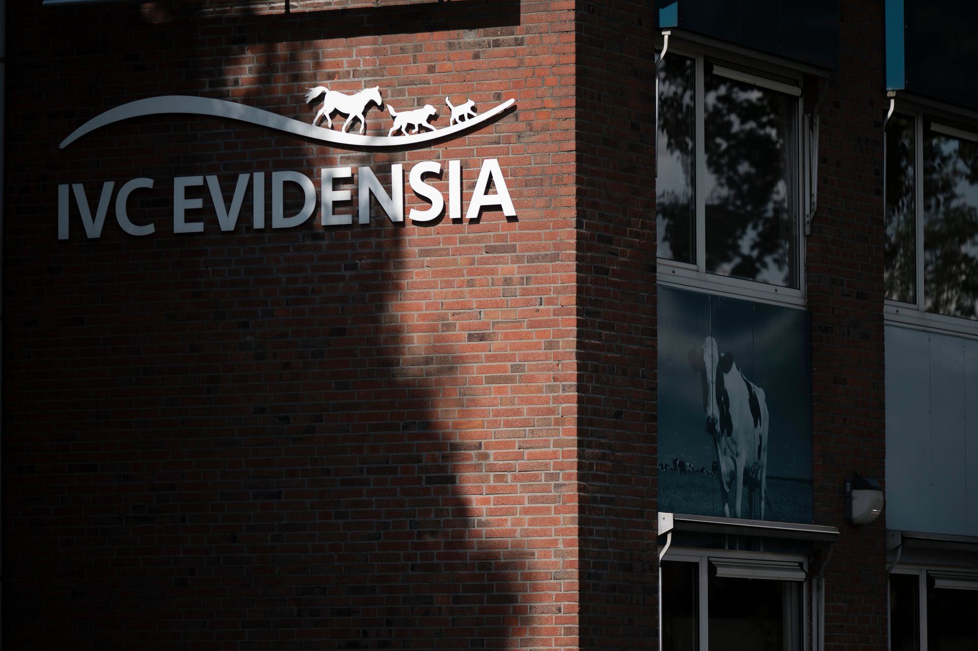 Vidyo bokep with the screening was finalized, I was on my