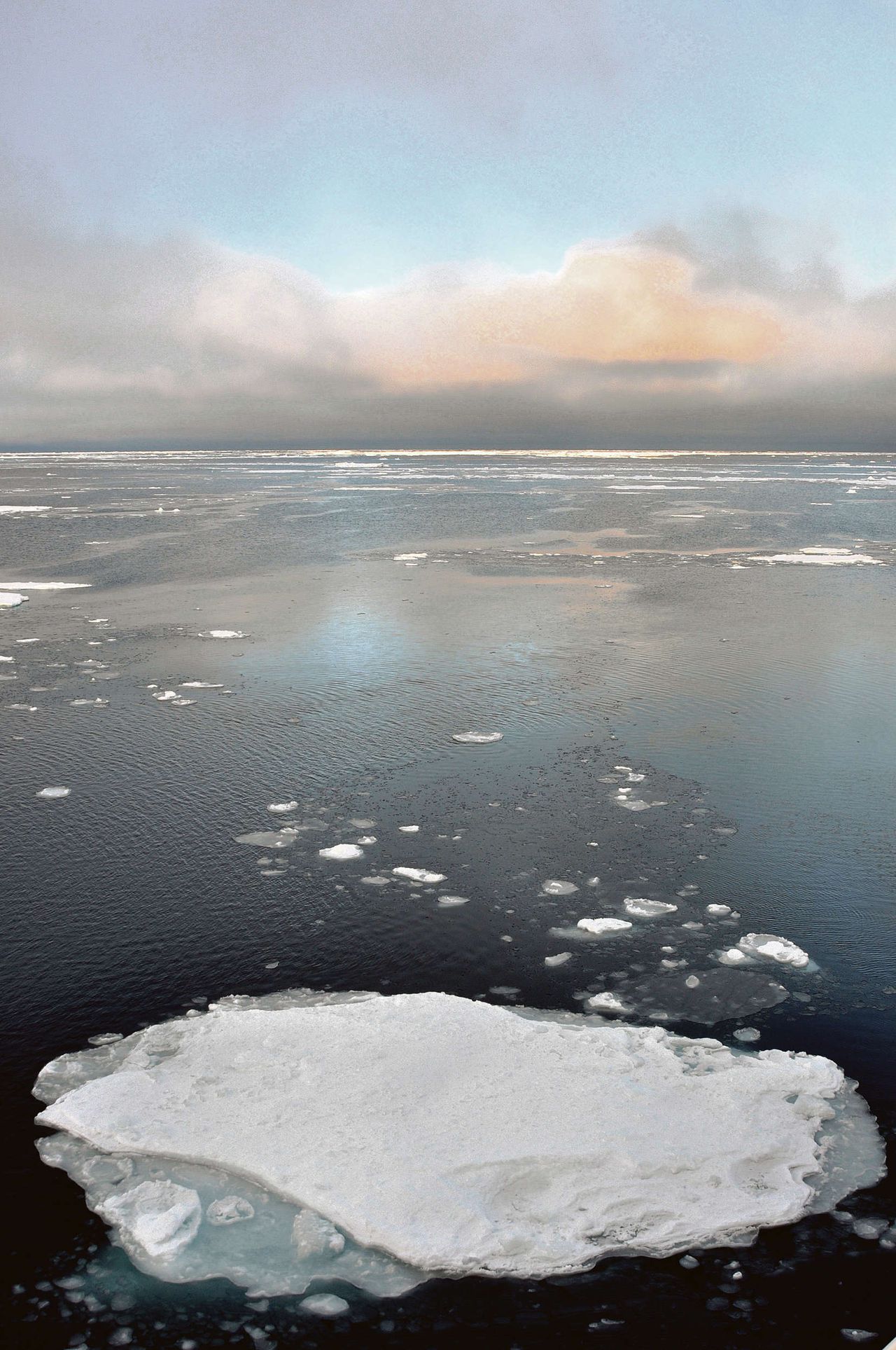Zeeijs is op dramatisch dieptepunt - NRC