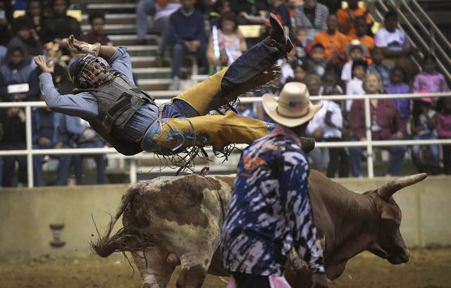 Black Rodeo is een uniek rodeospektakel - NRC