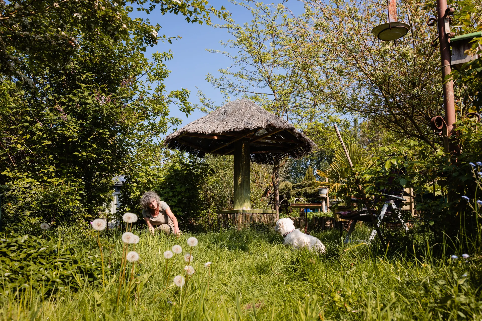 Schrijver Yvonne Kroonenberg is nu ‘een mevrouw met een volkstuin’ - NRC