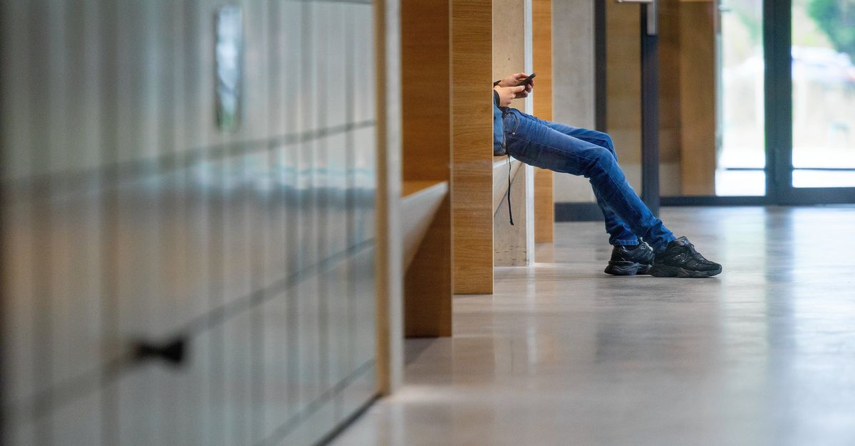 ‘Niet heel lekker om te kijken’, wel snel doorgestuurd. Verspreiding van schadelijke inhoud ...