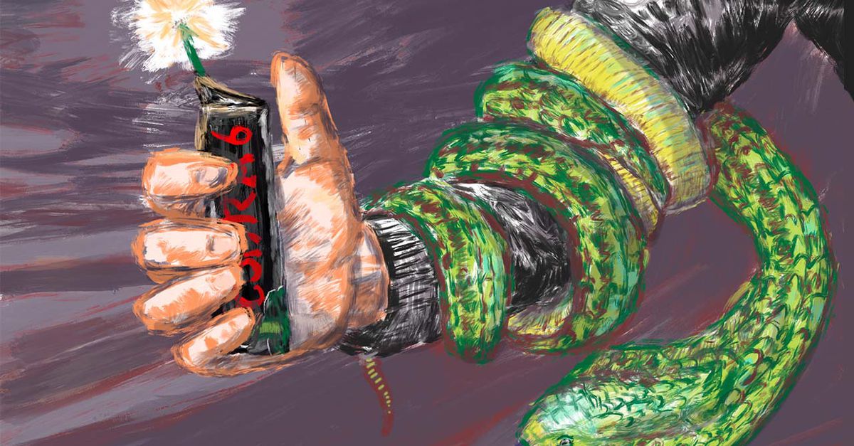 Het favoriete explosief van de onderwereld is de Cobra, en die is ‘even ...