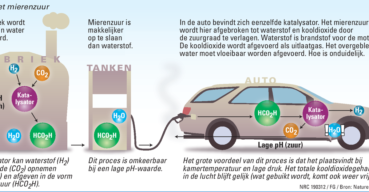 Mierenzuur in waterstoftank - NRC