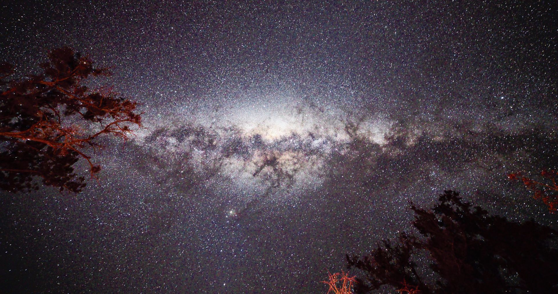 Er zijn ook Melkwegsterren ver buiten de Melkweg - NRC