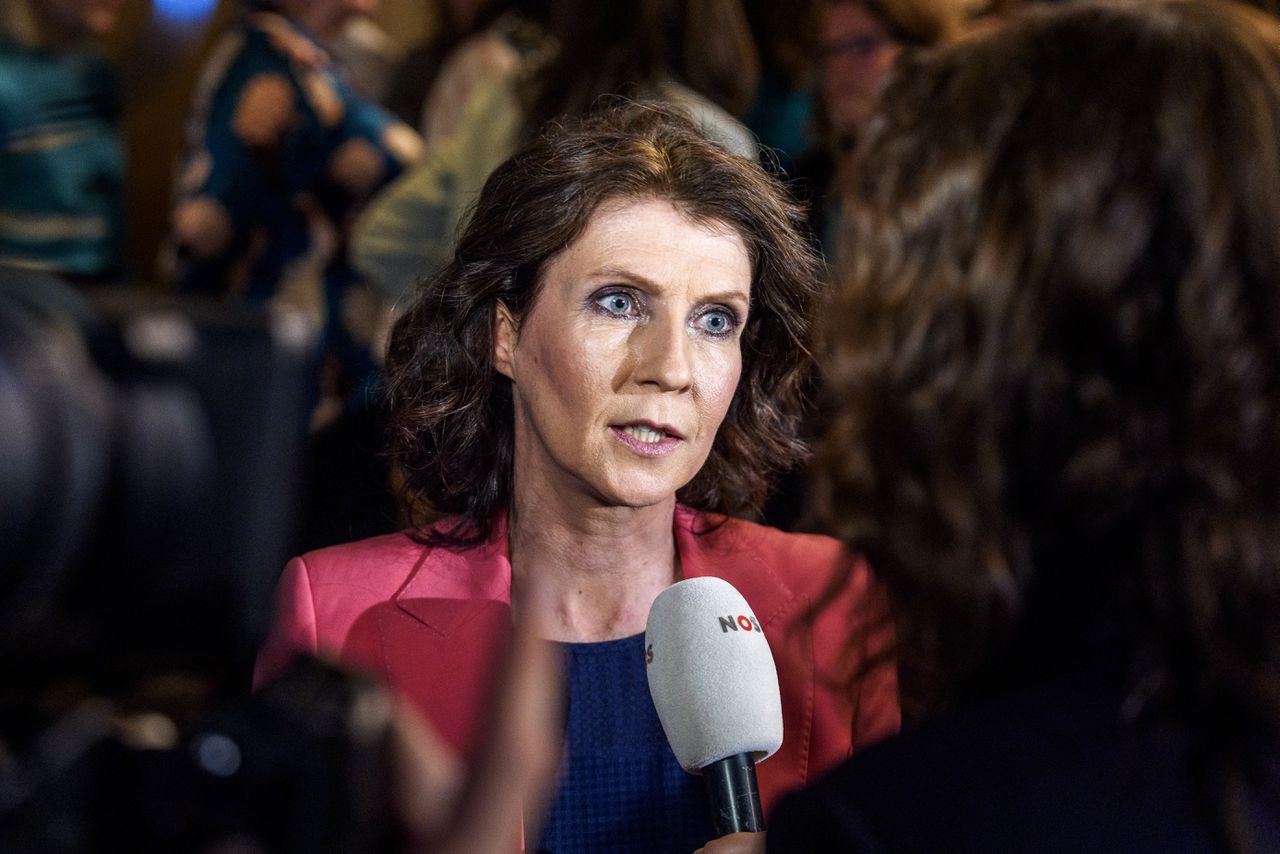 De Partij voor de Dieren verliest geen zetels door gedoe en concurrentie – maar herstelt ook ...