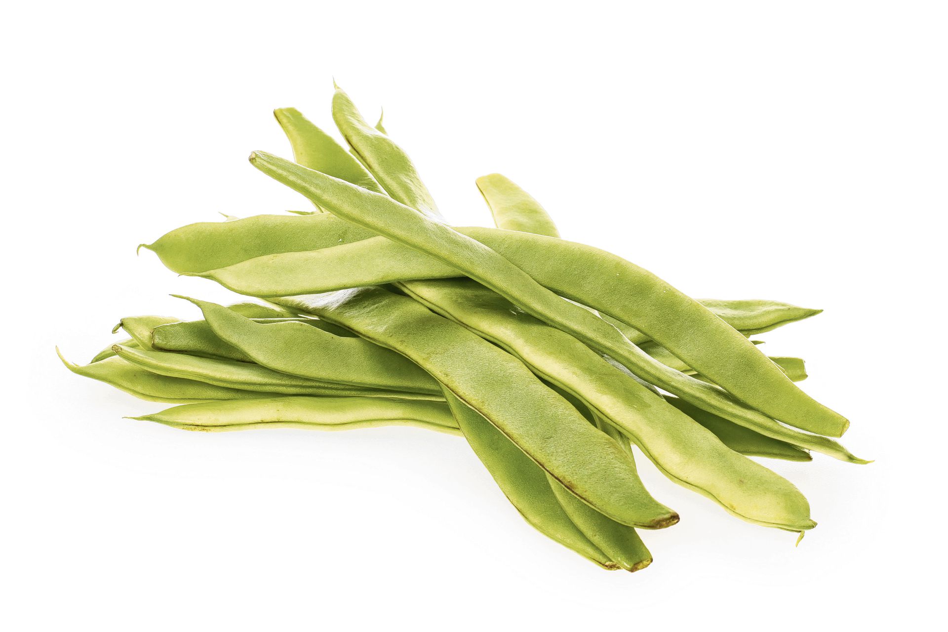 De snijboon blijkt kosmopolitisch - NRC