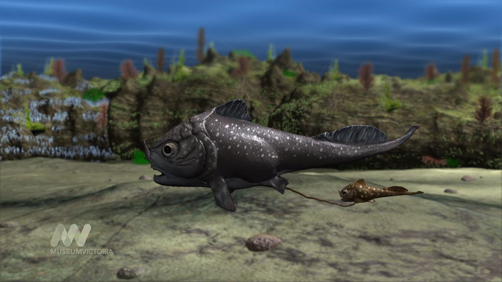 De oudste moeder is een Australische vis - NRC