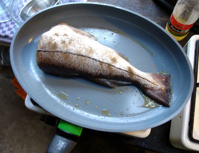 Een visje bakken op een bolle bodem - NRC