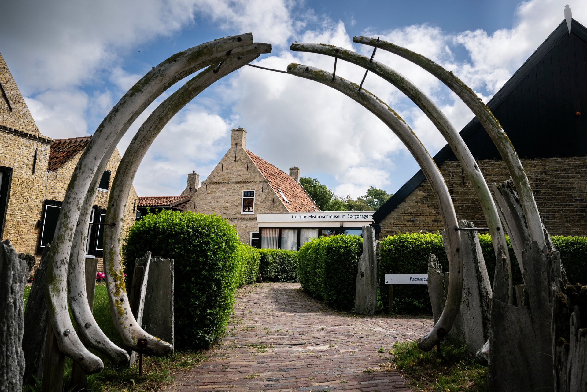 Harpoenen, ijsberen en een zeeheld van 150 kilo: de walvisvaart is op ...