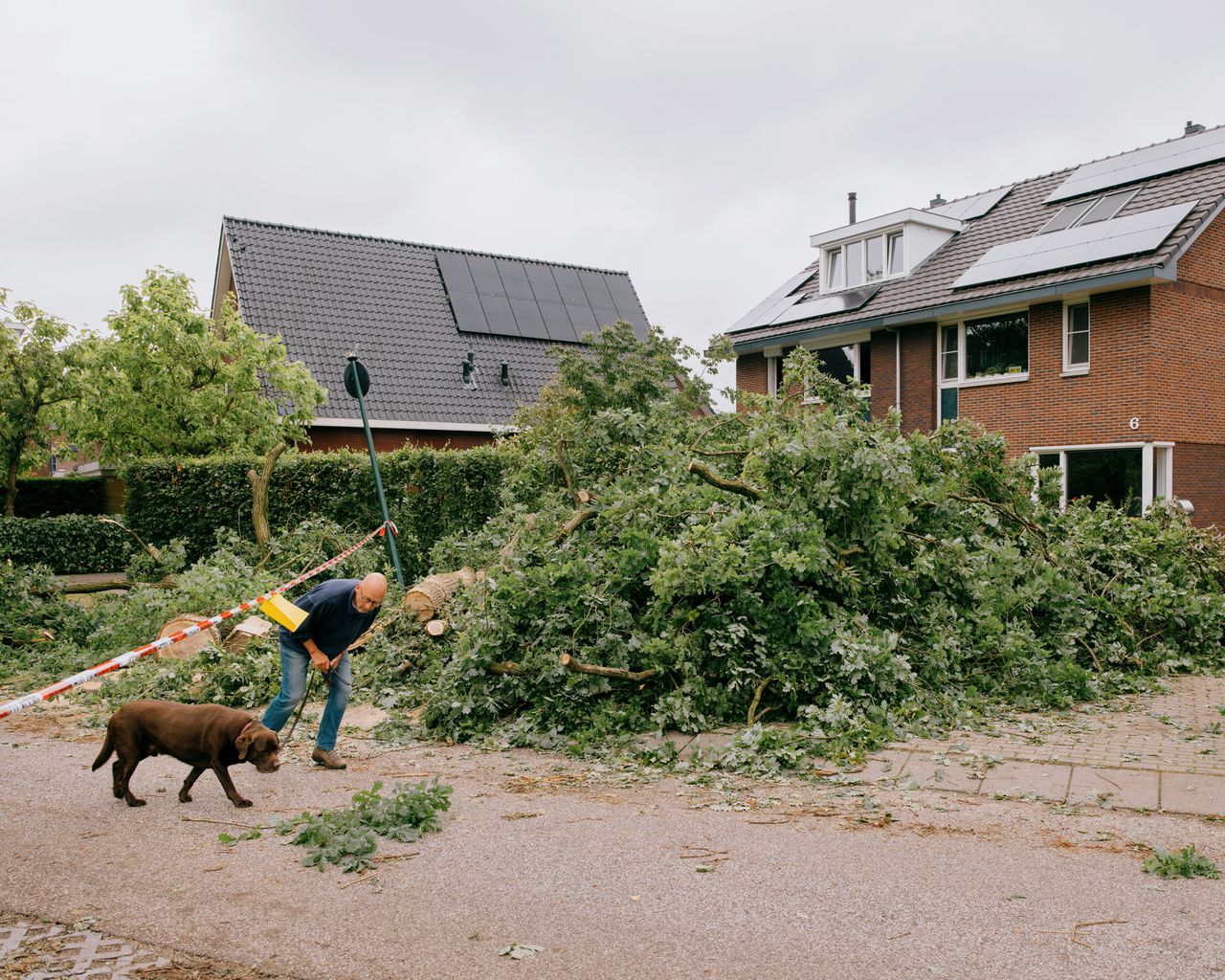 KNMI: storm in Leersum was inderdaad valwind - NRC