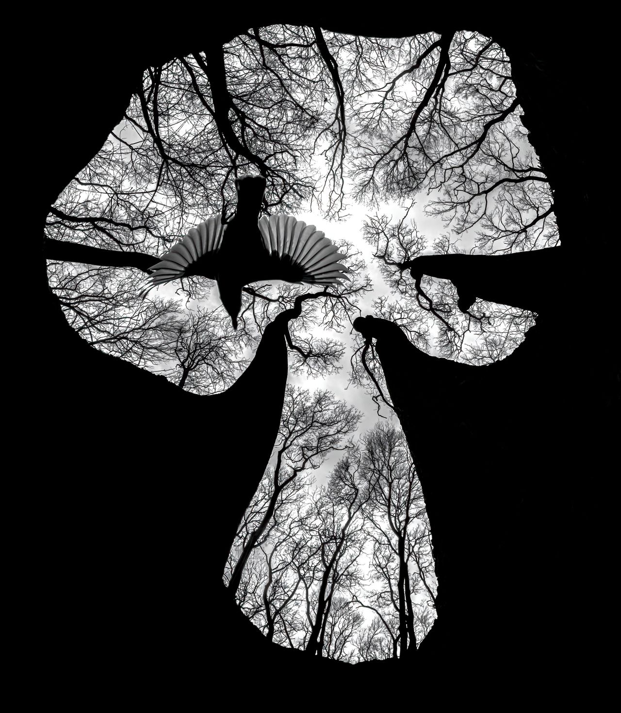 Close-up fotograaf van het jaar: kleine levens die ontroeren en ...