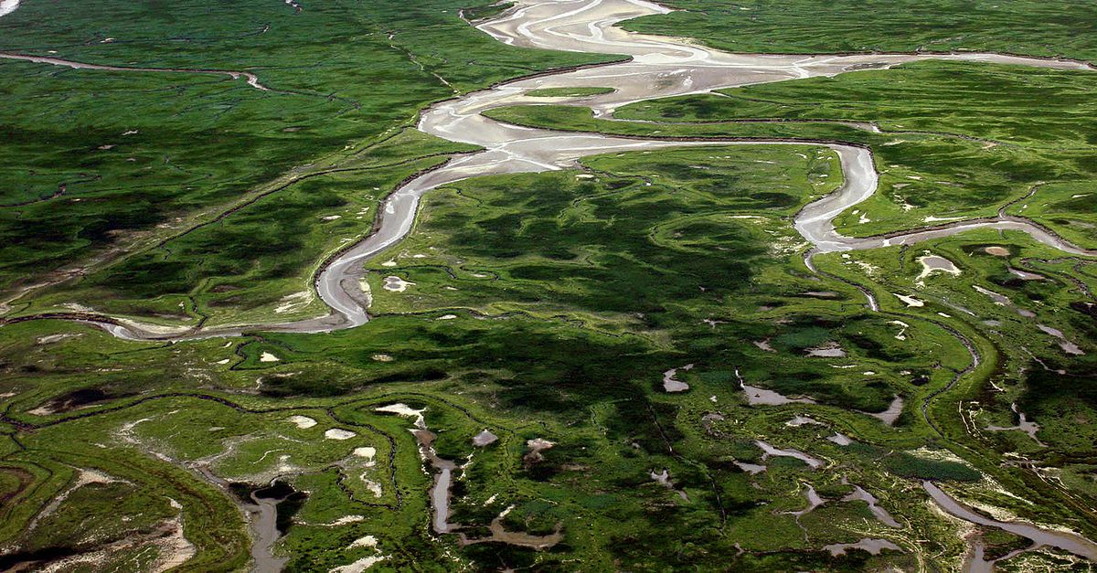 Dijken doorsteken is een zwak verdedigingswapen - NRC