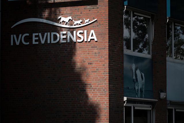 Vidyo bokep with the screening was finalized, I was on my