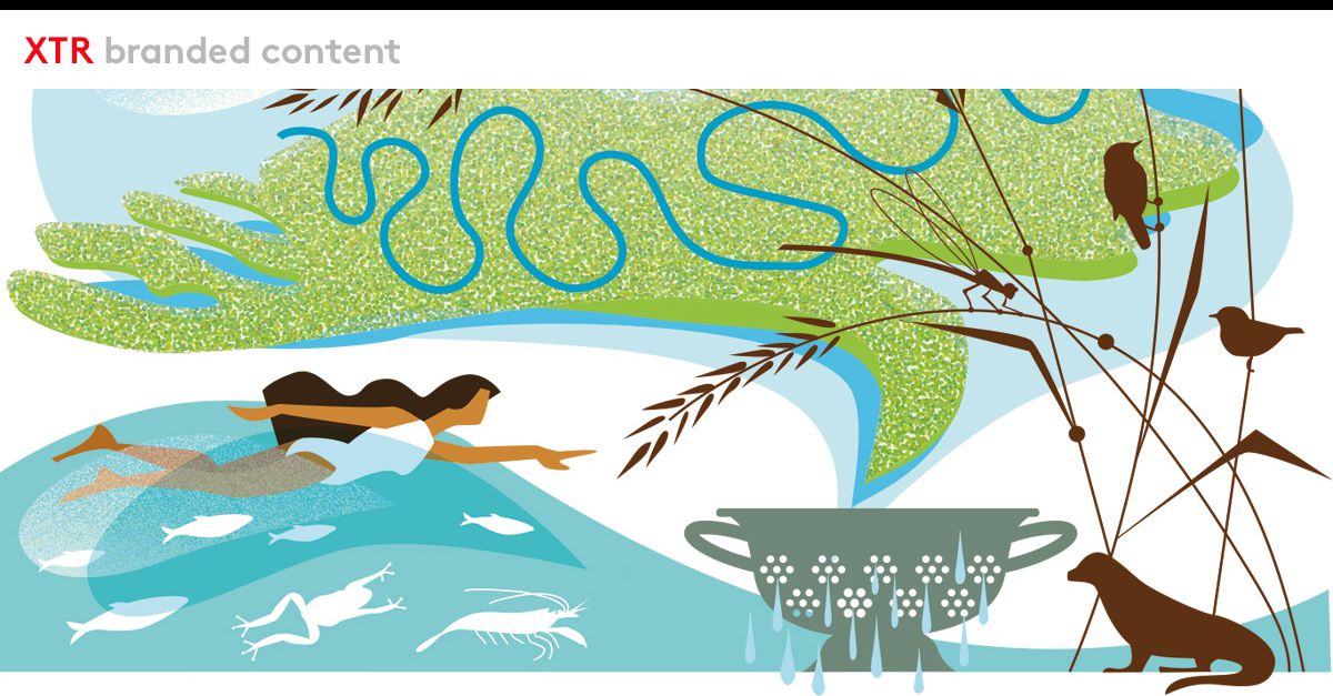 Strijd tegen het water? Natuurmonumenten strijdt vóór ons water