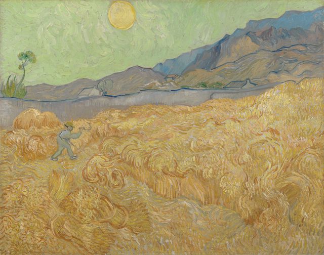 Chroomgeel, zonnebloemen en het veranderende geel van Van Gogh - NRC