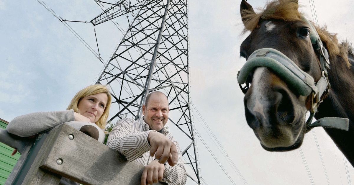 Die mast zit altijd in je kop - NRC