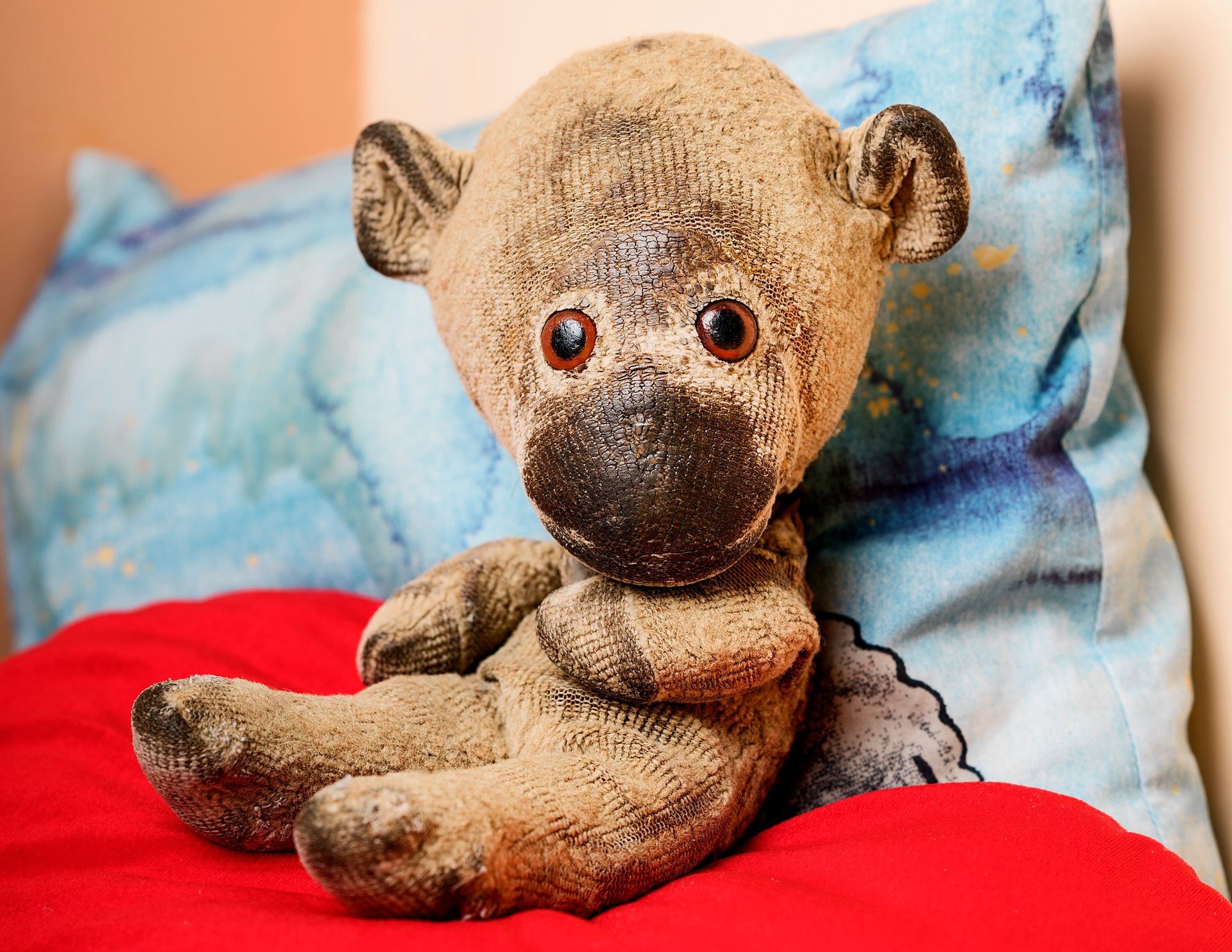 Ongewassen Japie gaat na 35 jaar naar het lab: wat leeft er op hem? - NRC